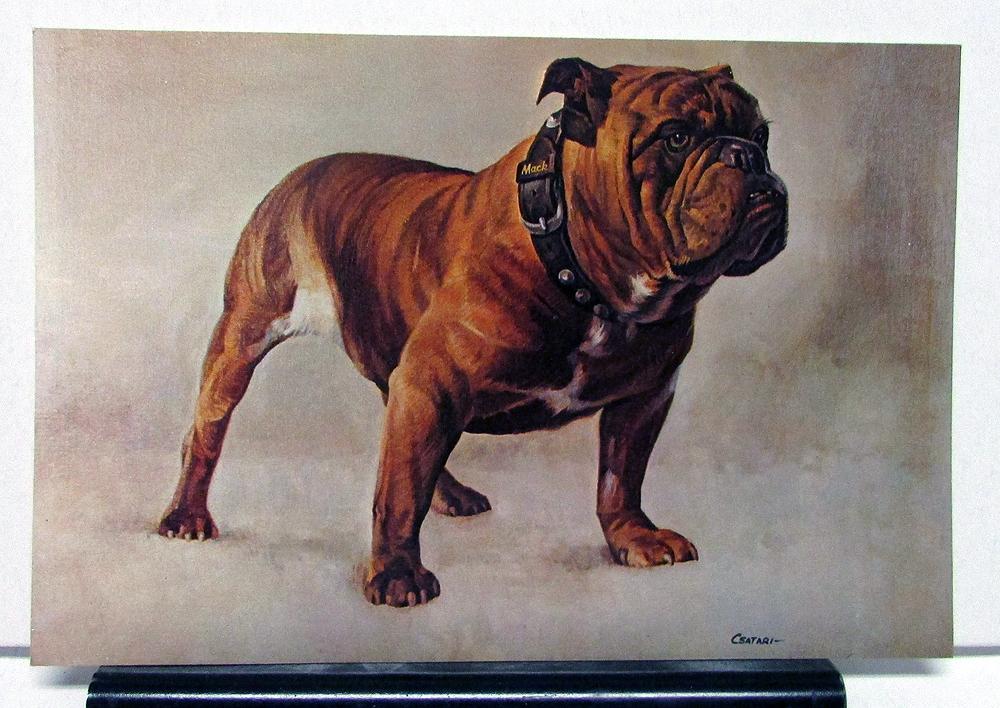 1990 1991 1992 1993 1994 1995 Mack Truck Bulldog Postcards Set Of 3